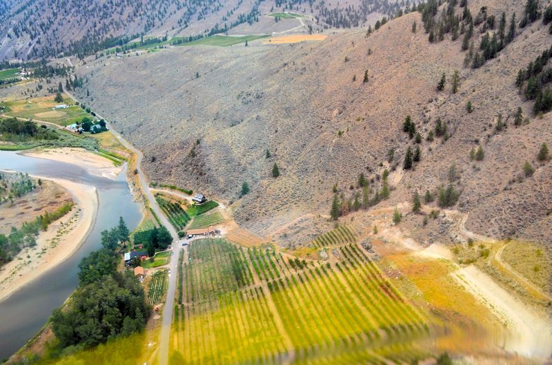 Wines of Canada BC Gallery